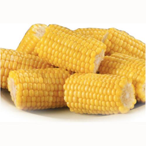 3" Corn Cob Cut|NTFOODS