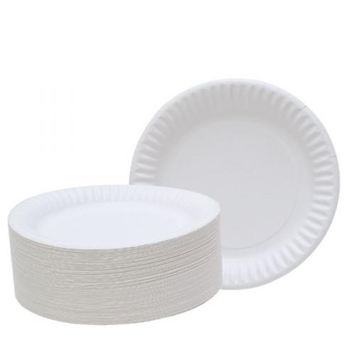 9" Paper Plates|NTFOODS