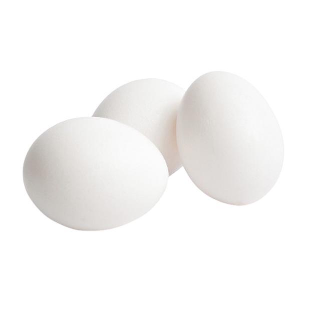 Small Size Eggs|NTFOODS