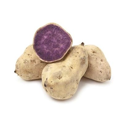 Japanese Yam - Nagaimo|NT Foods