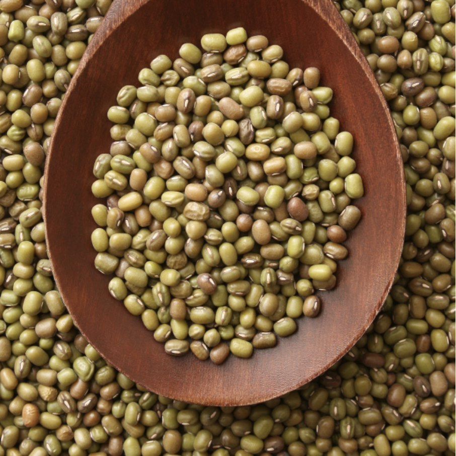 NTFOODS